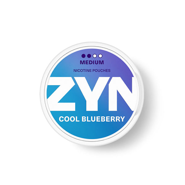 Cool Blueberry | ZYN (EU) | 6mg – The PODGOD